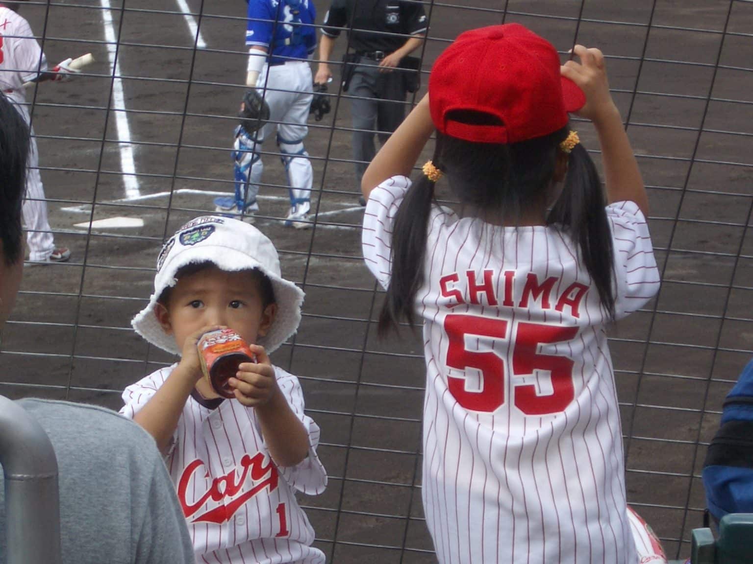 A City and their Carp: The History of Hiroshima Baseball - JapanBall