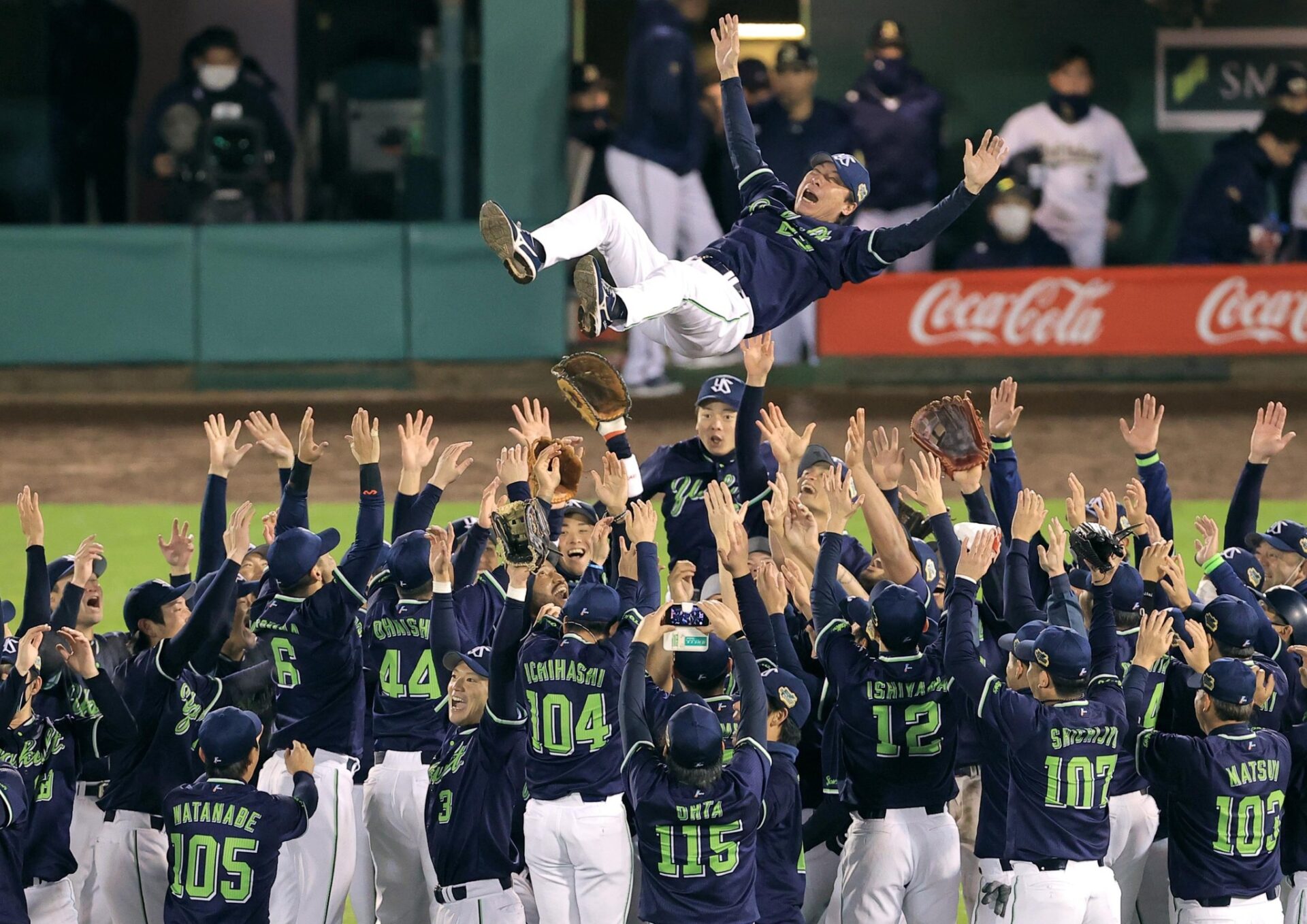What's Wrong With the Yakult Swallows? - JapanBall